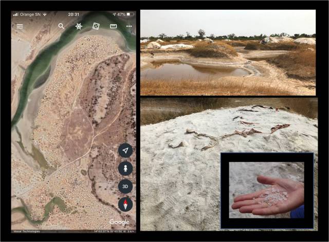 Sine-Saloum Delta, Senegal. A tiny exploration. | EARTH SCIENCE SOCIETY